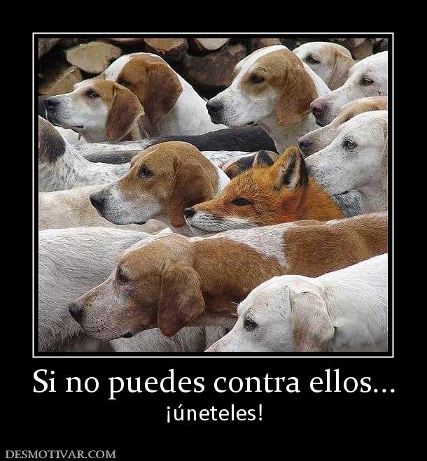 Desmotivaciones Si no puedes contra ellos... ¡úneteles!