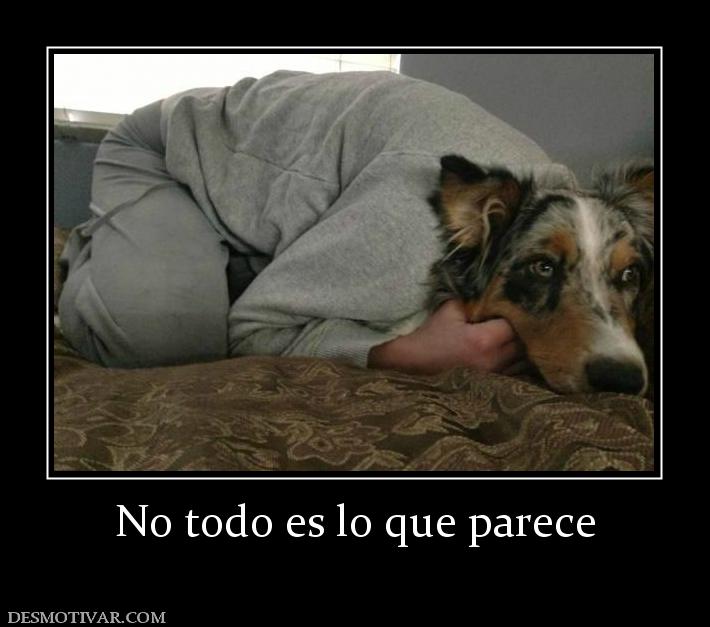 Desmotivaciones No todo es lo que parece