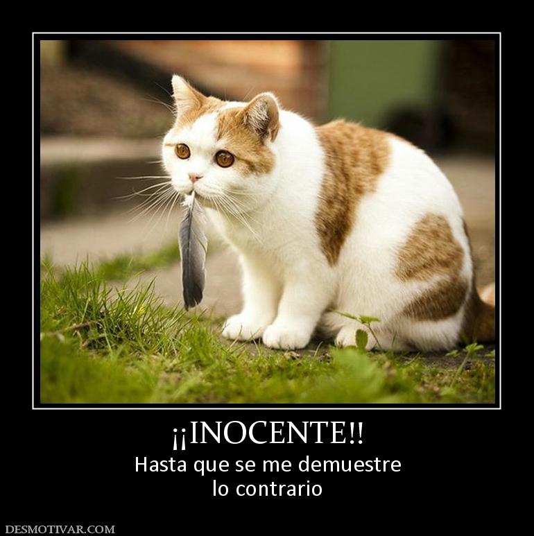 Desmotivaciones ¡¡INOCENTE!! Hasta que se me demuestre lo contrario