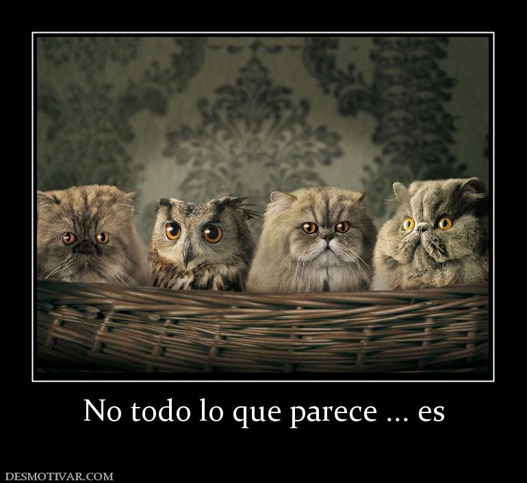 Desmotivaciones No todo lo que parece ... es