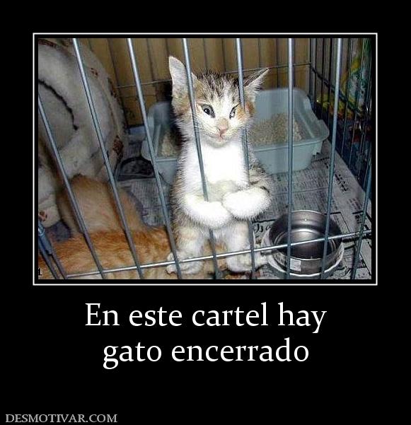 Desmotivaciones En este cartel hay gato encerrado